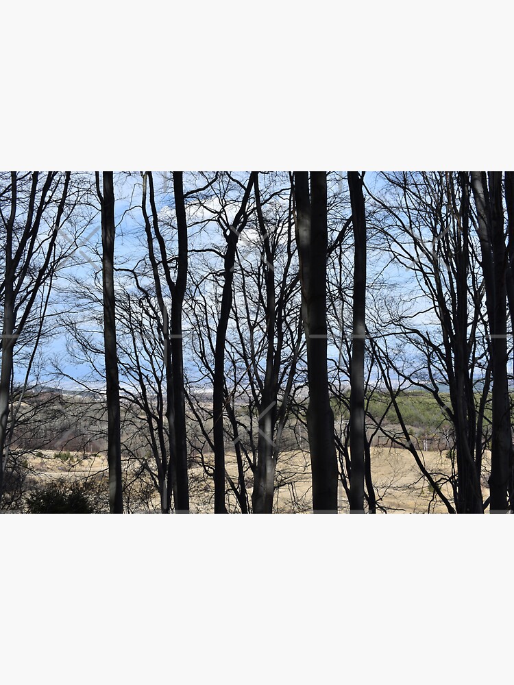 "Dark grey trees in the mountain" Sticker by mariya-ivanova | Redbubble