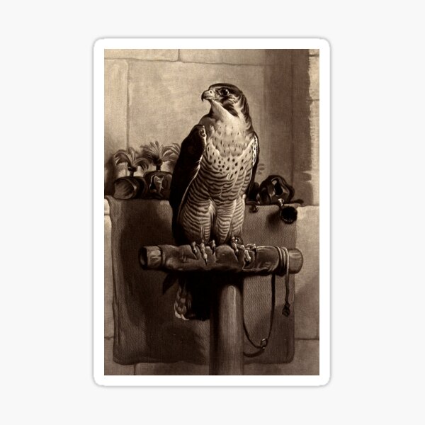 "The Falcon - Edwin Henry Landseer (1837)" Sticker for Sale by geraldo ...