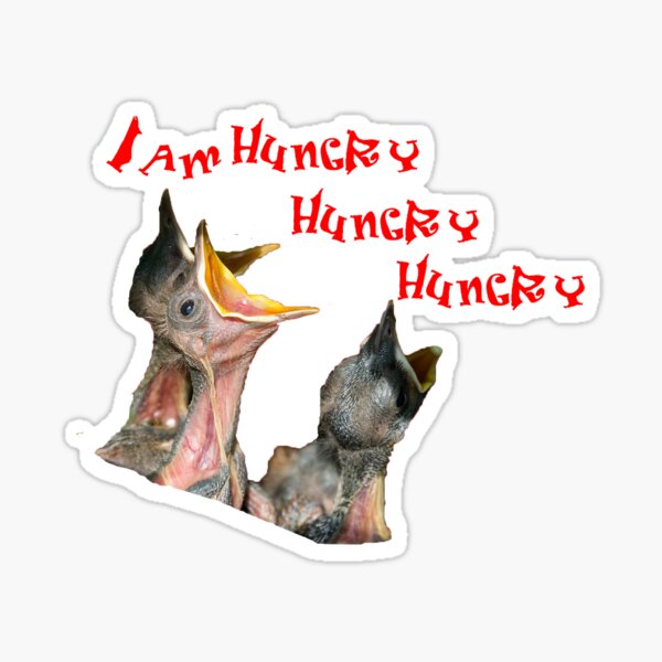 "I AM HUNGRY, HUNGRY, HUNGRY" Sticker by ILA-DODO | Redbubble