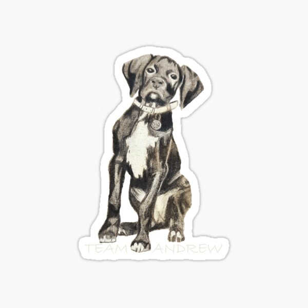 "Team Andrew - Light Text" Sticker by BLISSBITESGH | Redbubble
