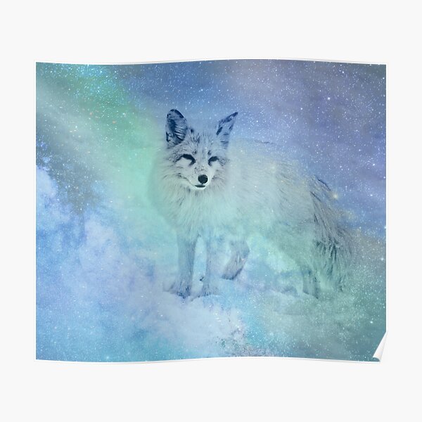 "Arctic fox, White fox" Poster for Sale by HappyJungle | Redbubble