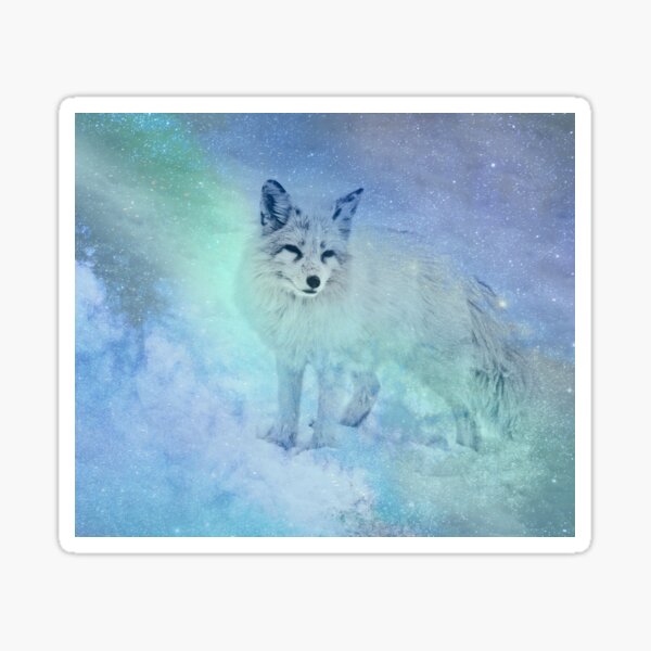 "Arctic fox, White fox" Sticker for Sale by HappyJungle | Redbubble
