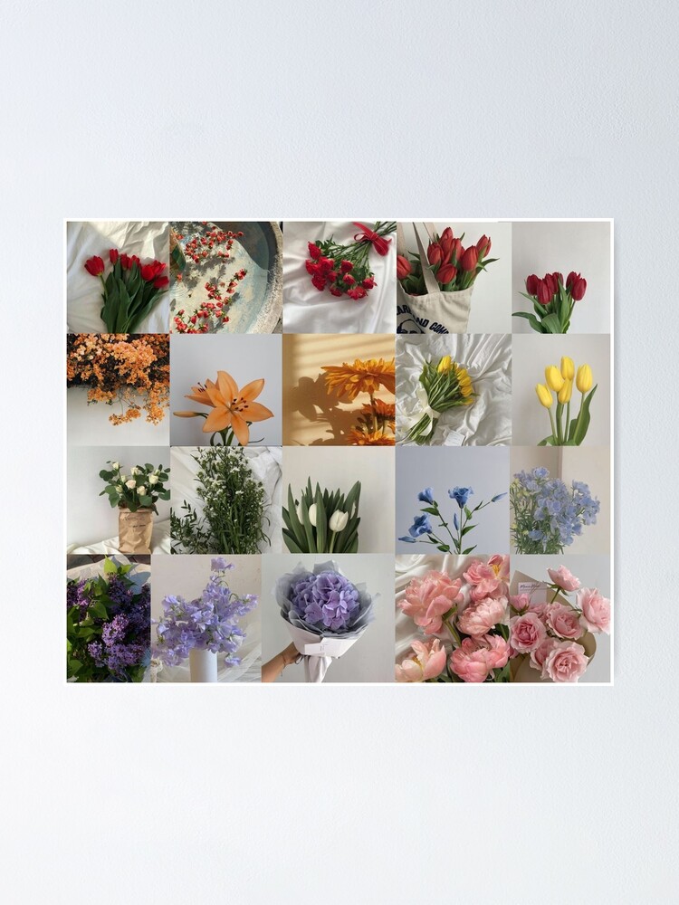 Rainbow Flower Collage