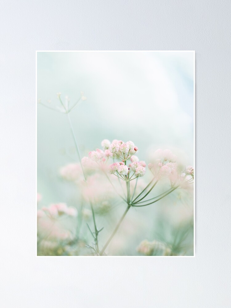 "beautiful flowers" Poster for Sale by effy7 | Redbubble
