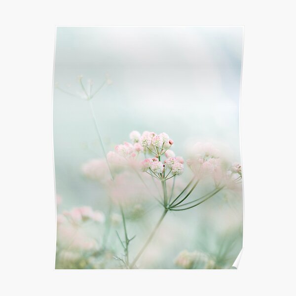 "beautiful flowers" Poster for Sale by effy7 | Redbubble