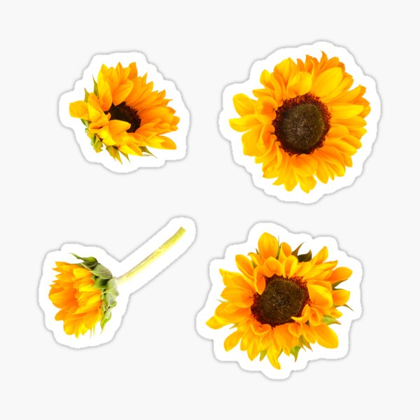 "Summer sunflower preppy sticker pack" Sticker by GabriellaParadi ...