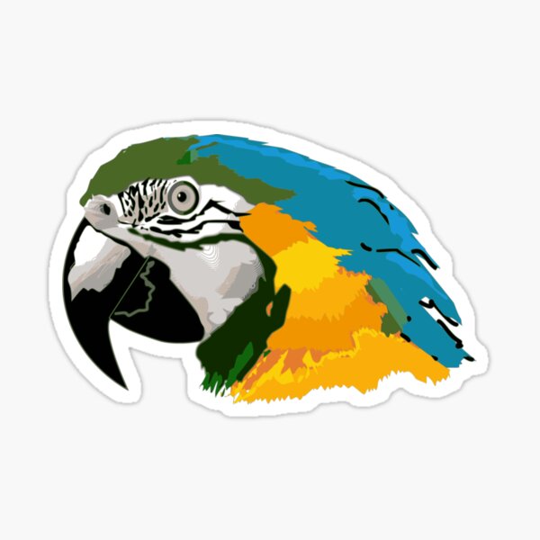 "Brazilian macaw bird" Sticker for Sale by Criabrasil | Redbubble