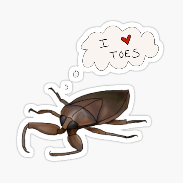 "I heart toes - toe biter " Sticker by itsgrapejuice | Redbubble