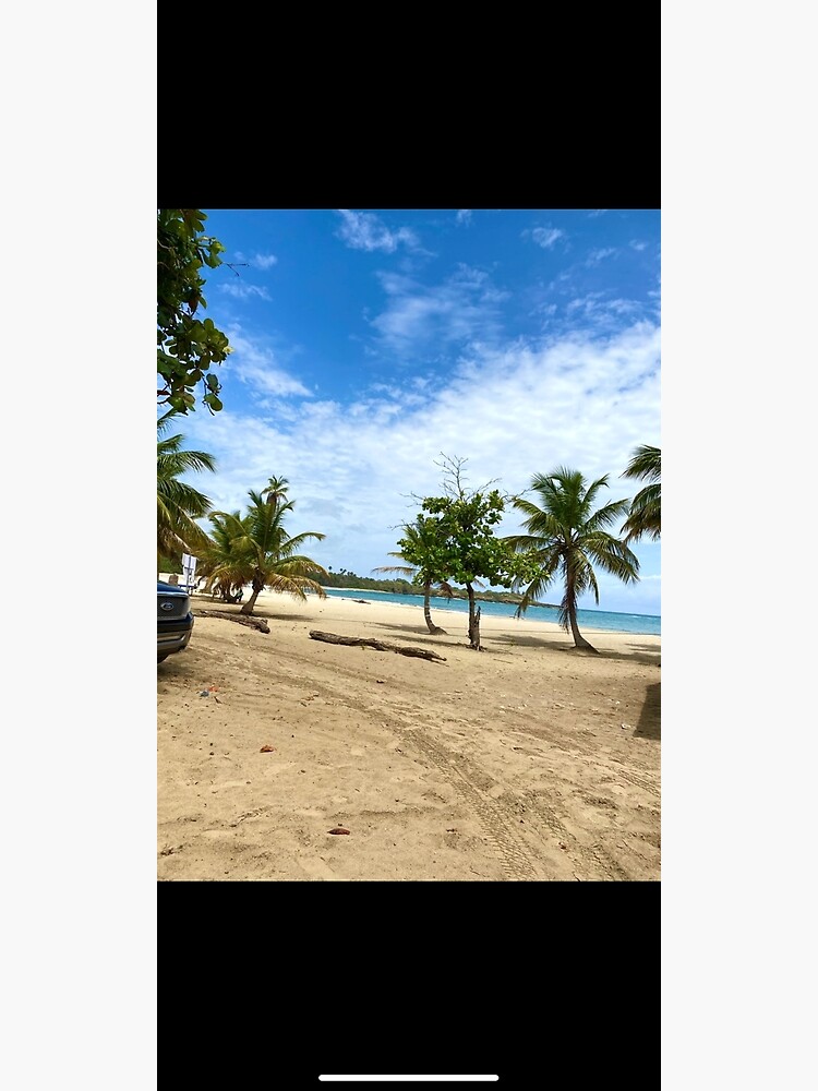 "Palm trees at a Dominican beach" Poster for Sale by xyleve | Redbubble