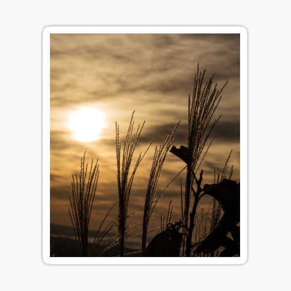 "Morning Sunrise" Sticker for Sale by RoseCCadden | Redbubble