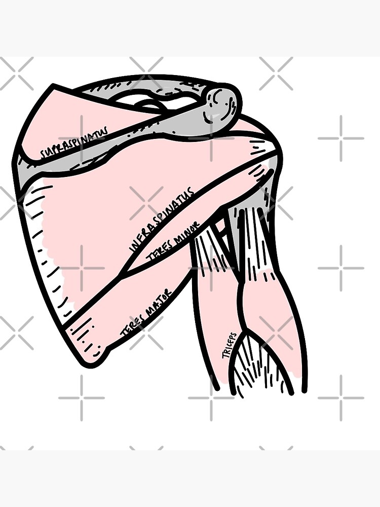 "Rotator Cuff" Poster for Sale by OTaygurl | Redbubble