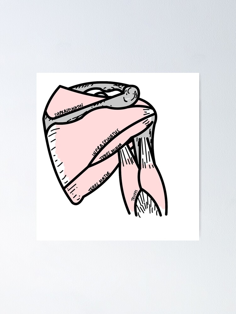 "Rotator Cuff" Poster for Sale by OTaygurl | Redbubble