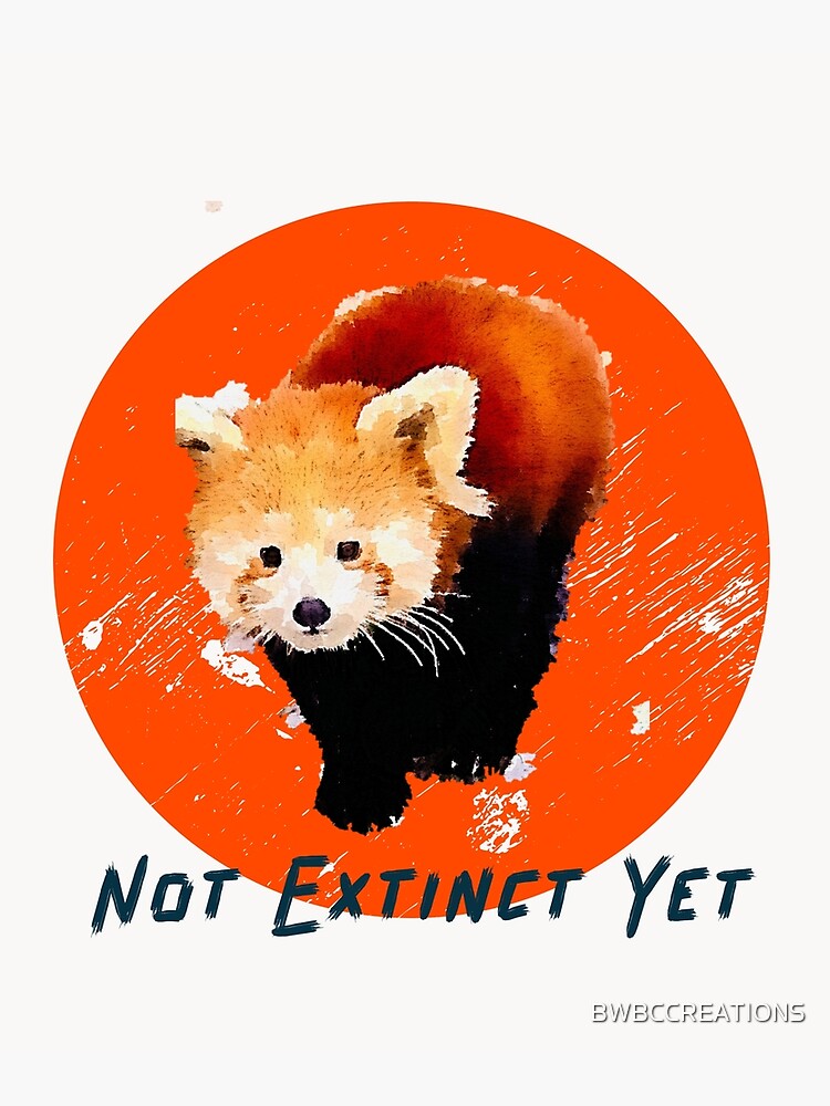 "Red Panda - Not Extinct Yet... " Poster for Sale by BWBCCREATIONS ...