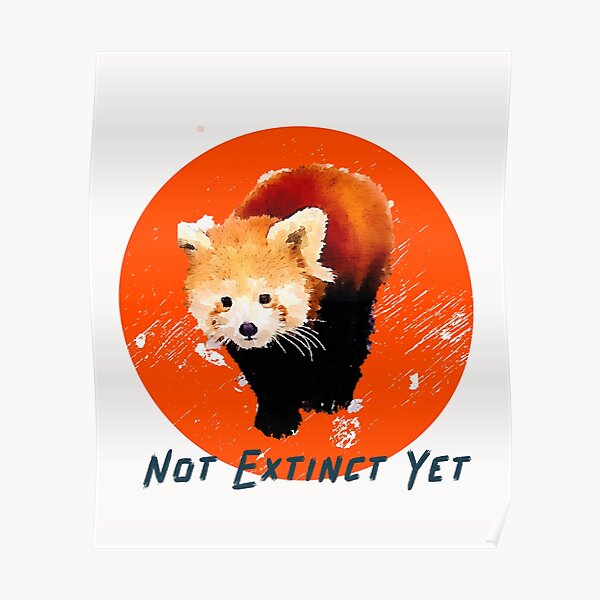 "Red Panda - Not Extinct Yet... " Poster for Sale by BWBCCREATIONS ...