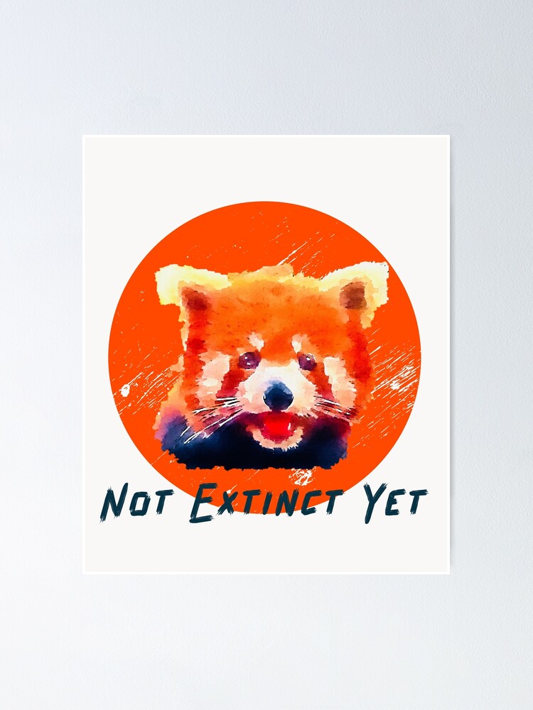 "Red Panda - Not Extinct Yet... " Poster by BWBCCREATIONS | Redbubble