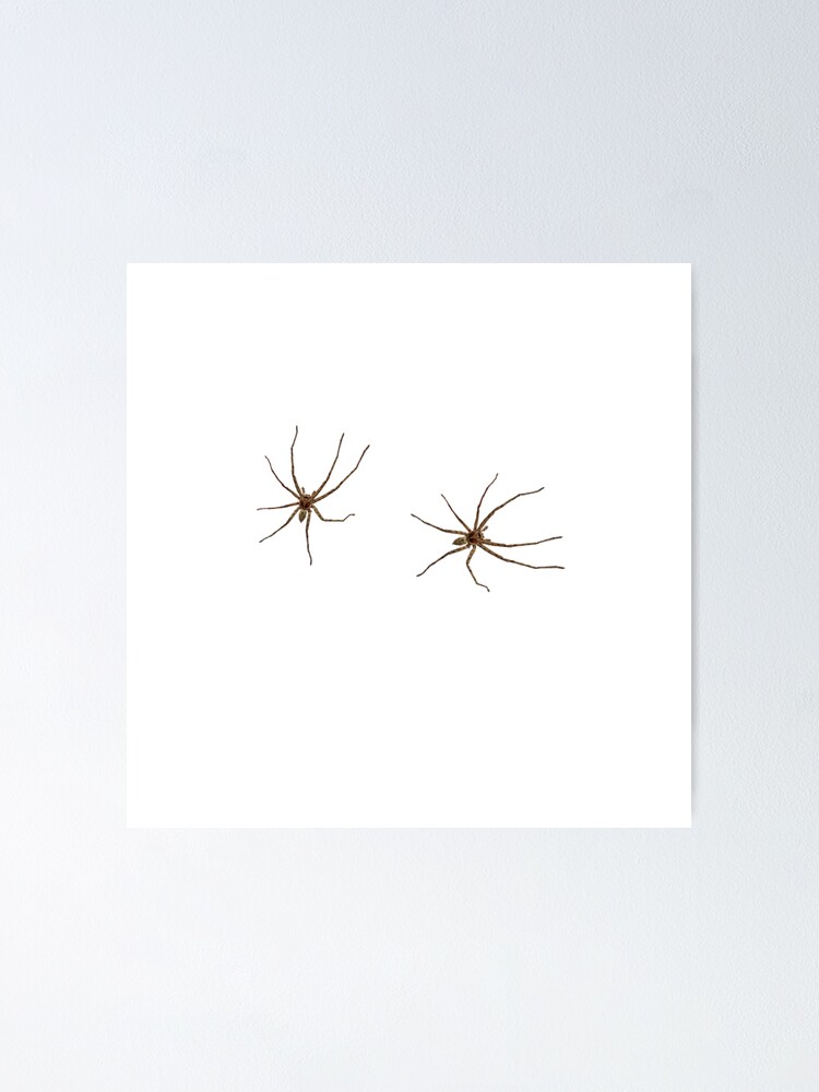 "spiders scare" Poster for Sale by Collection2022 | Redbubble