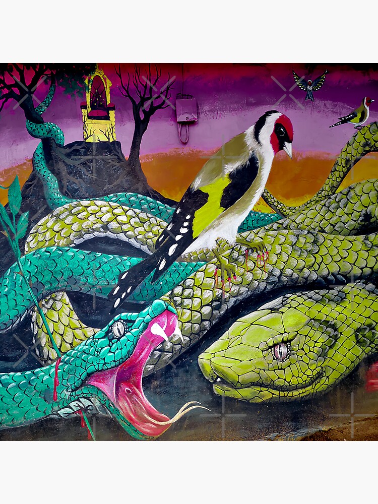 "Graffiti snake and birds " Sticker by anisbbmbrush | Redbubble