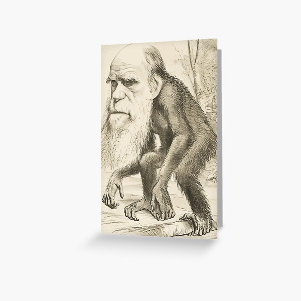 "Editorial Cartoon Depicting Charles Darwin As An Ape 1871" Greeting ...