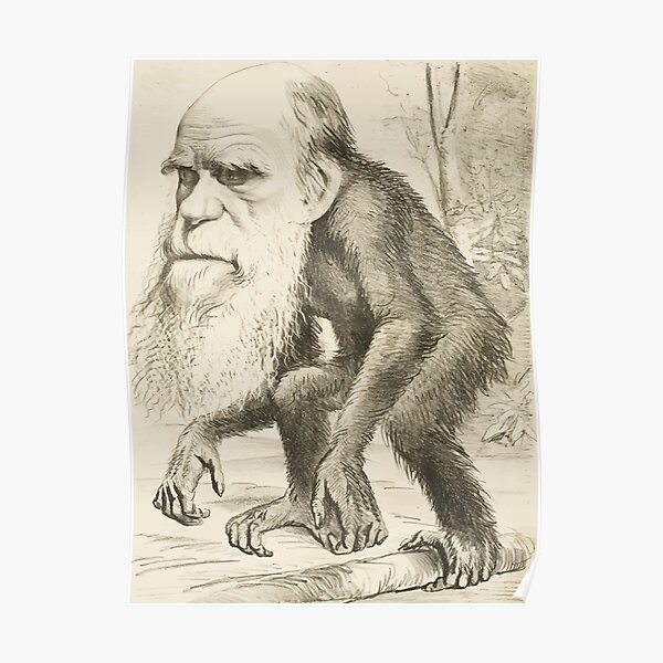 "Editorial Cartoon Depicting Charles Darwin As An Ape 1871" Poster for ...