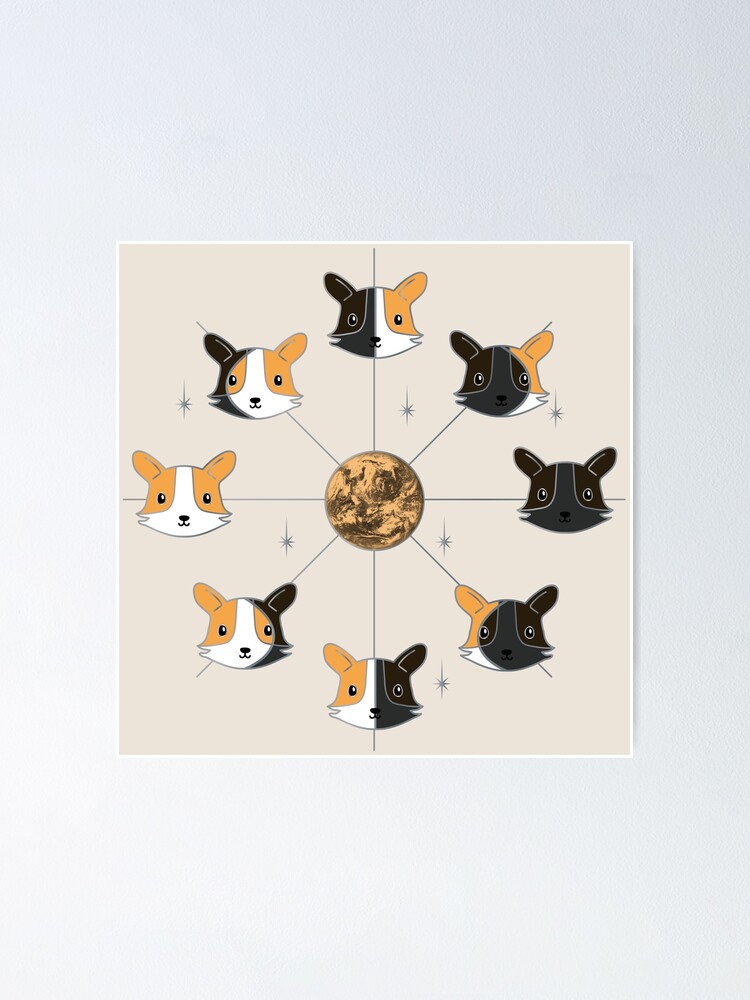 "Kawaii Corgi Phases of the Moon" Poster for Sale by The-Goods | Redbubble