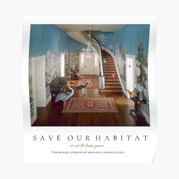 "Bird Protest. Save Our Habitat or We'll Claim Yours." Poster for Sale ...