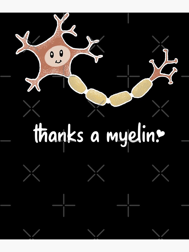 "Neuroscience Puns Thanks a Myelin" Poster by FanaticTee | Redbubble