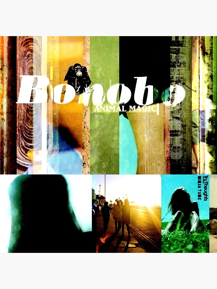 "Animals Magic 2000" Poster for Sale by Marcusdea | Redbubble