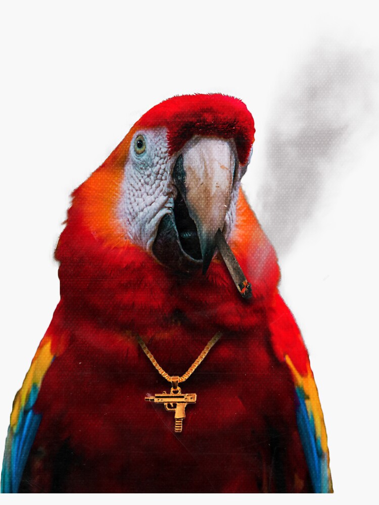"Gangsta Parrot Weed Smoker - Kmica Tica" Sticker by FettiDesign ...