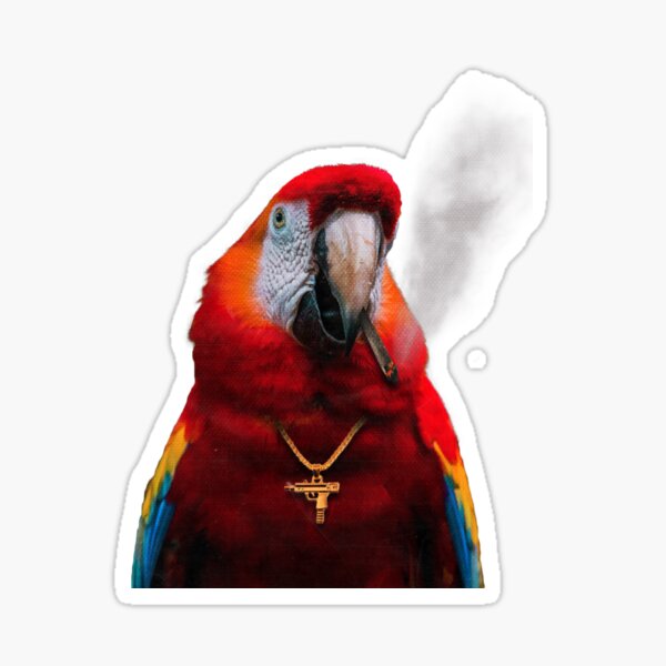 "Gangsta Parrot Weed Smoker - Kmica Tica" Sticker by FettiDesign ...