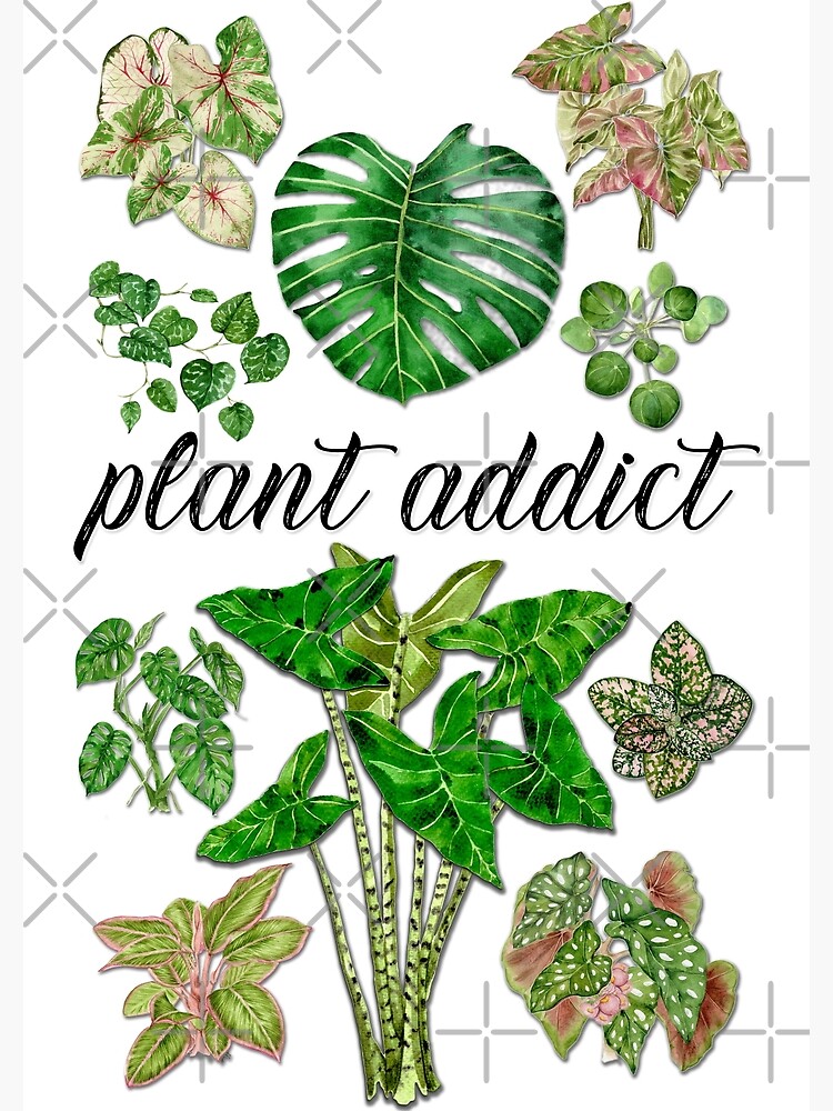 "Plant Addict" Poster for Sale by PetitMartin | Redbubble