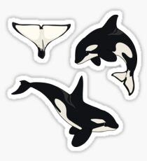 Orca: Stickers | Redbubble