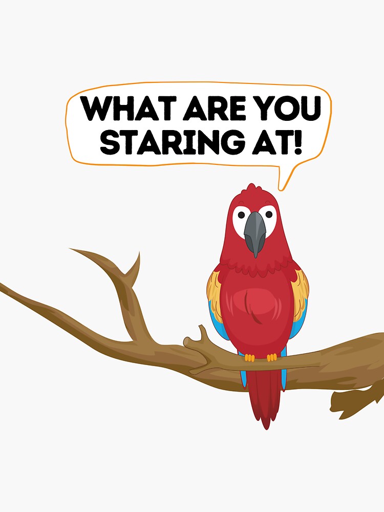 "Grumpy Parrot | What Are You Staring At?" Sticker for Sale by ...