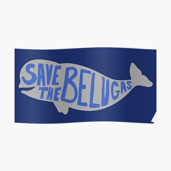 "Save the Belugas" Poster by novabee | Redbubble