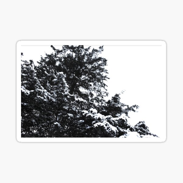 "Snowy Winter Tree" Sticker by RoseCCadden | Redbubble