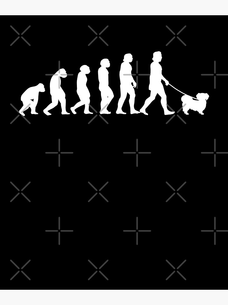 Poster « Pékinois Evolution Palace Chien Pékinois », par madgrfx | Redbubble