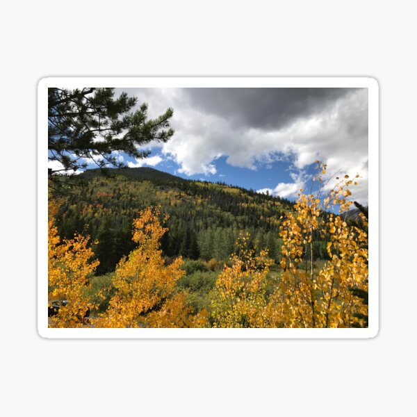 "Aspen Trees Changing Colors in Colorado" Sticker by Nadykes | Redbubble
