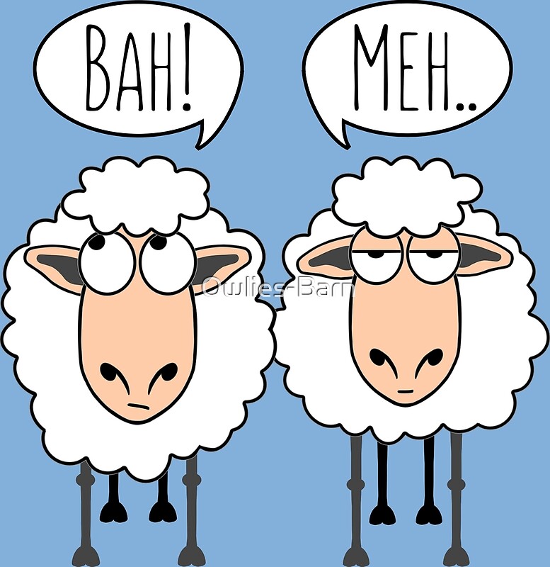 "Sheepish Expressions" by Owlies-Barn | Redbubble