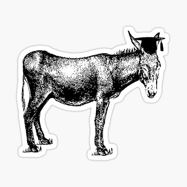 "Smart ass" Sticker for Sale by LAZY J | Redbubble