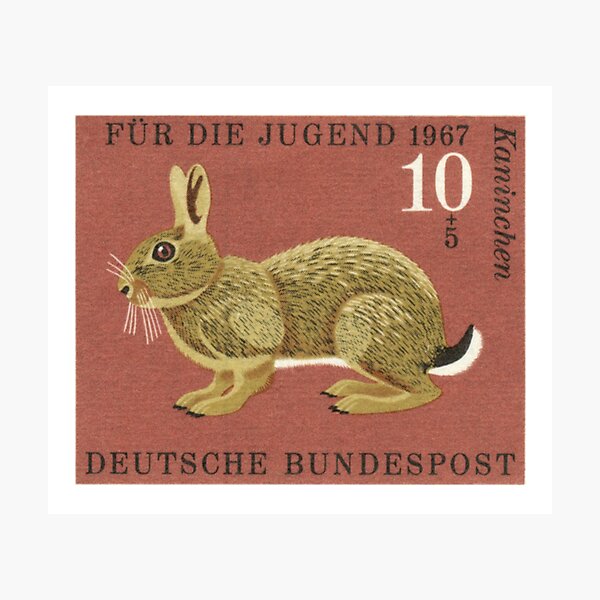 "Philately Retro 1967 Rabbit postage stamp issued by Germany, DDR ...