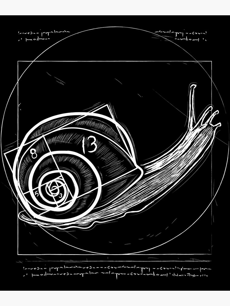 "Vitruvian Snail Shell Fibonacci Slug Clothes Gift Snail" Photographic ...