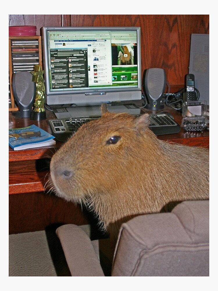 "Capybara PC" Sticker by russelldearest | Redbubble