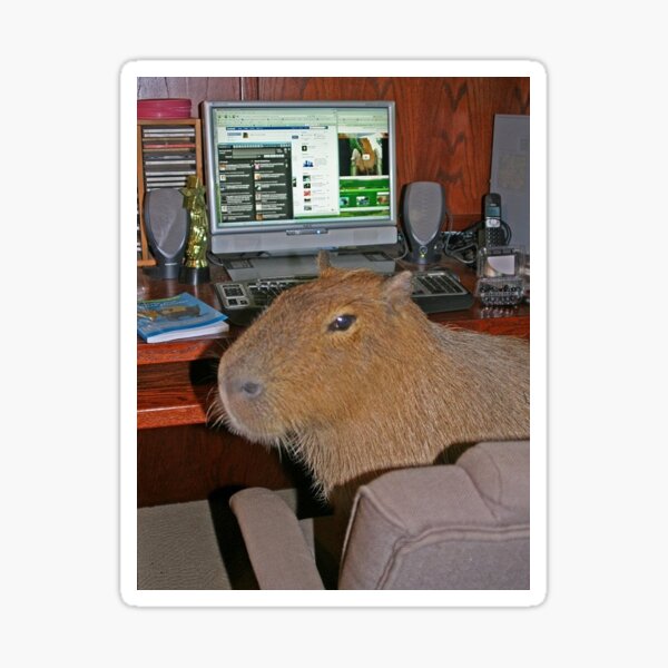 "Capybara PC" Sticker by russelldearest | Redbubble