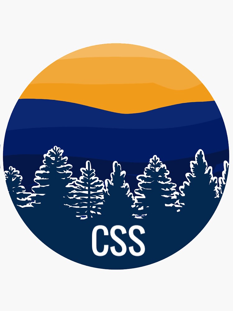 "CSS" Sticker by AudreyWasiloski | Redbubble