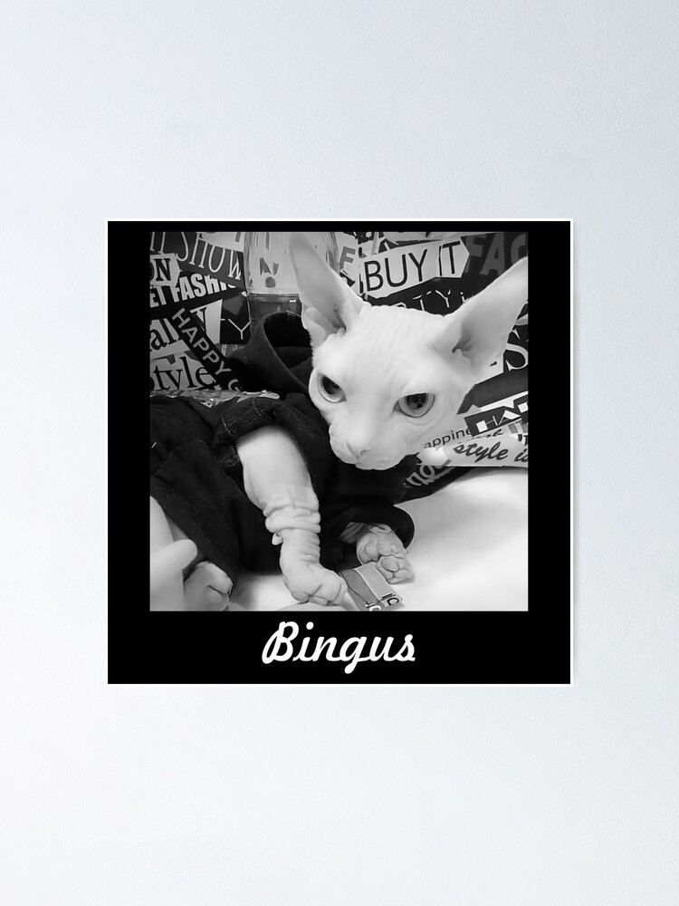 "Playboi carti Cat, Bingus Cat Lightweight" Poster for Sale by ...