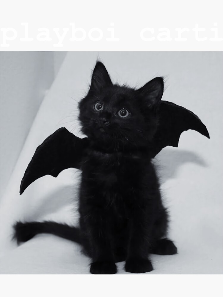 "Playboi Carti Cat" Sticker for Sale by mahardyaniStore | Redbubble