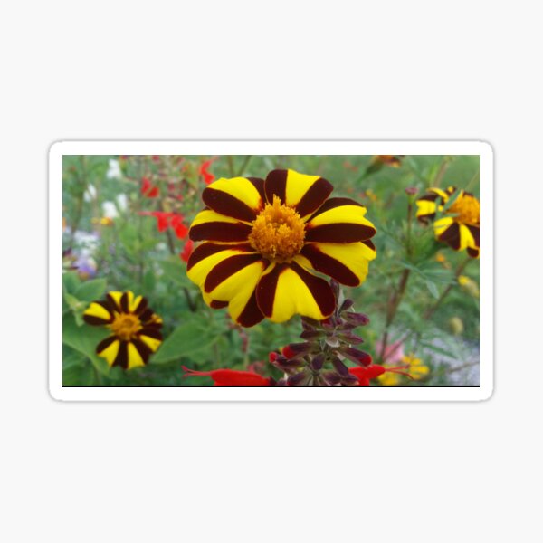 "nature, landscape, flowers" Sticker for Sale by Sternchen2789 | Redbubble