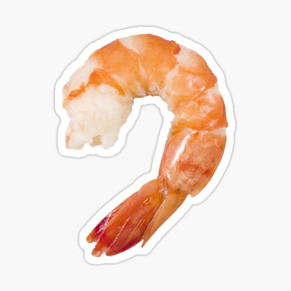 Shrimp Stickers | Redbubble