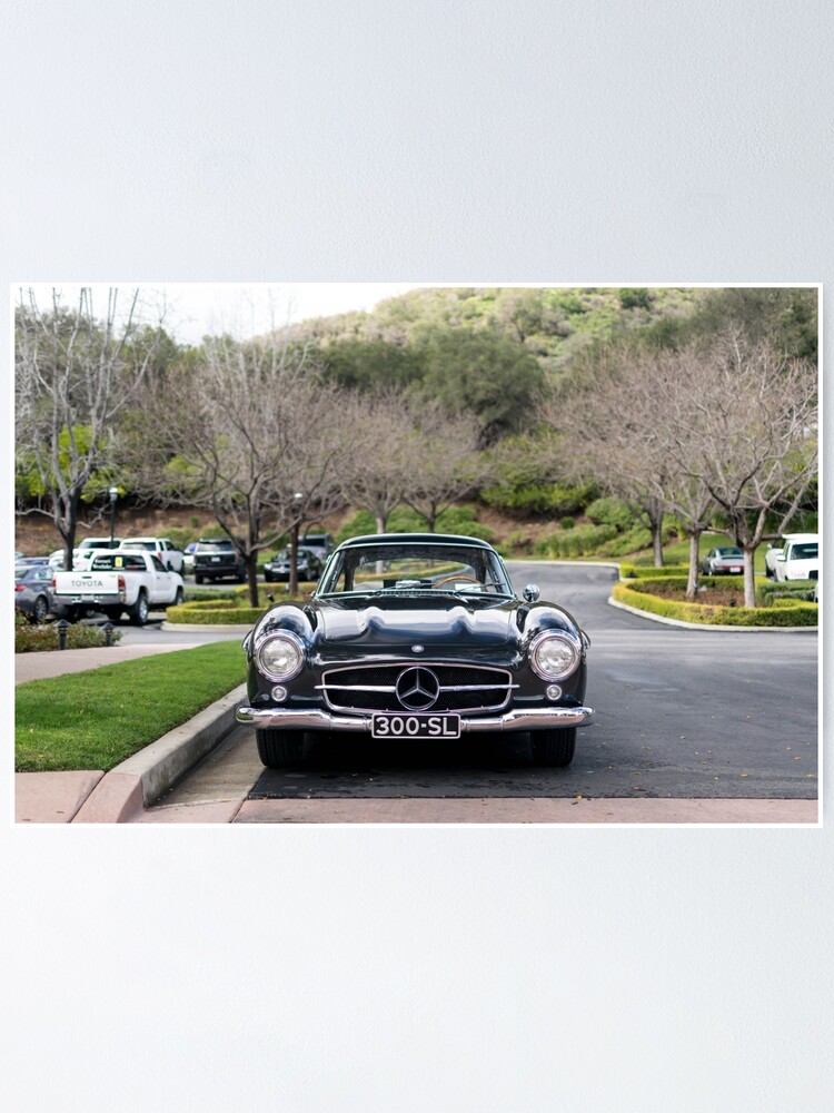 "Mercedes 300SL" Poster for Sale by JWKexotics | Redbubble