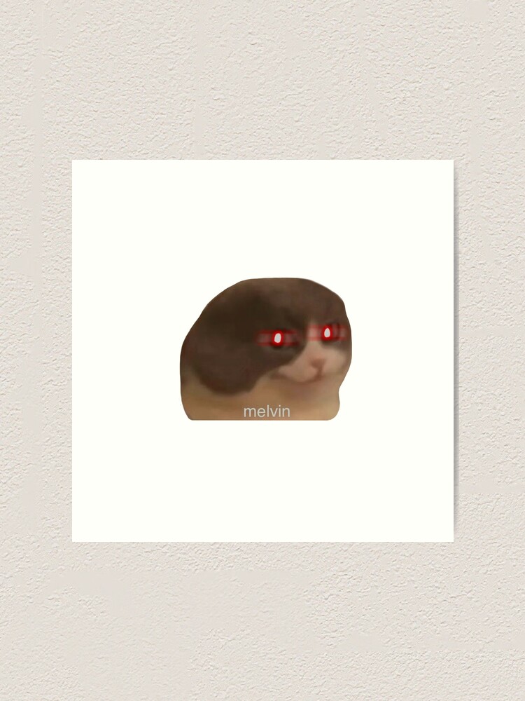 "Melvin Cat Meme" Art Print for Sale by surrile | Redbubble