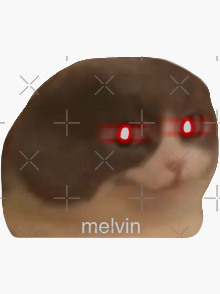 "Melvin Cat Meme" Sticker for Sale by surrile | Redbubble